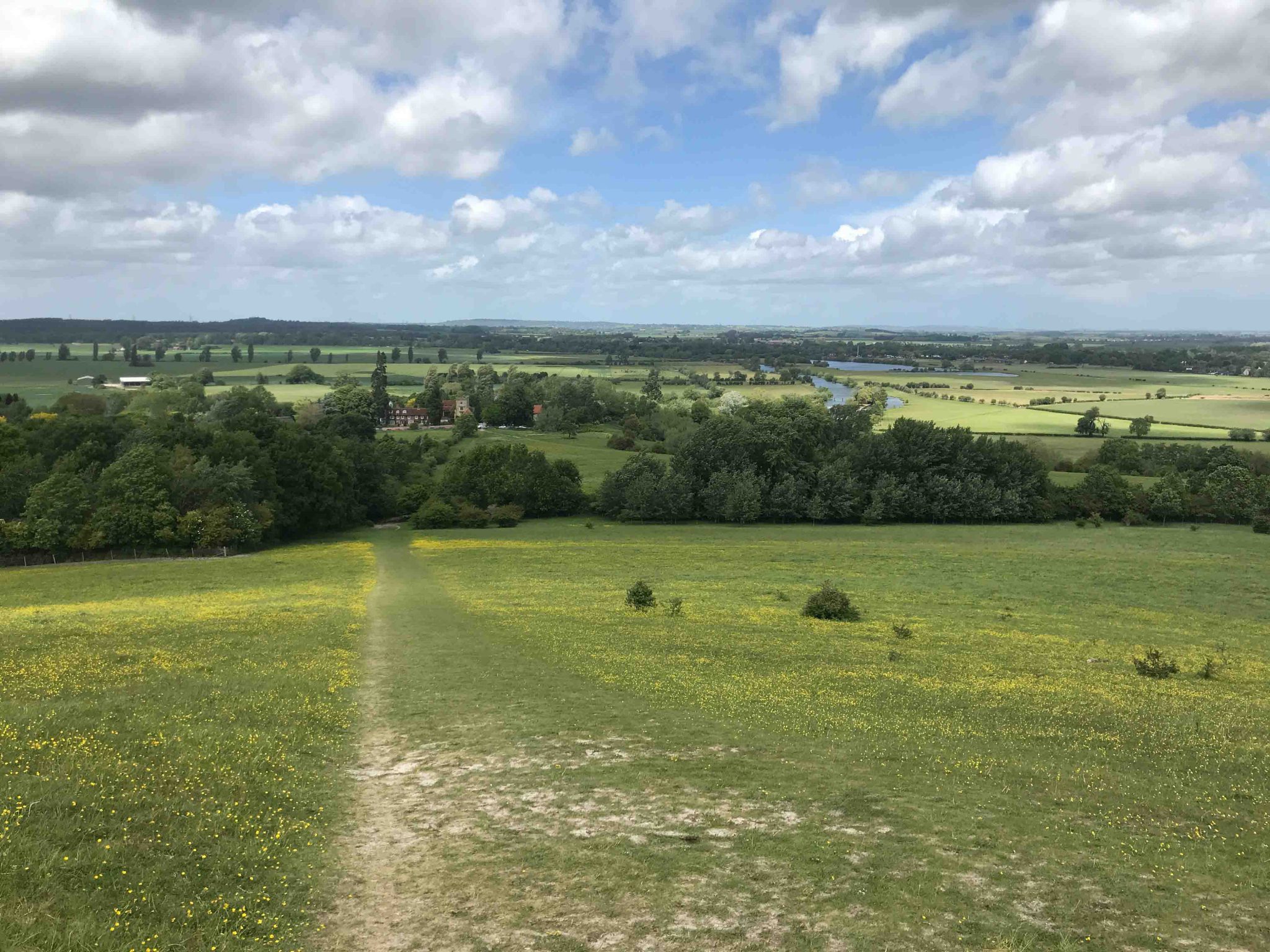 Thames Path Detours - Wittenham Clumps - Walk The Thames