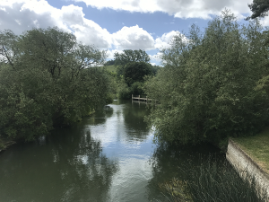 Thames Path Detours - Wittenham Clumps - Walk The Thames
