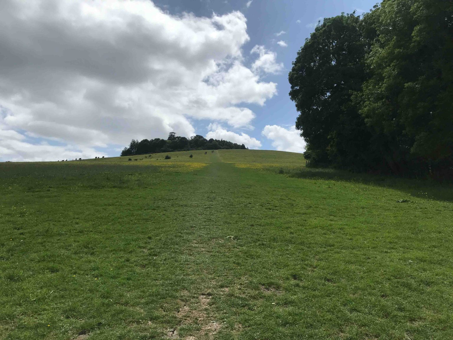 Thames Path News Round-Up - Walk The Thames
