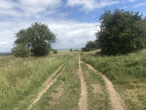 Ridgeway Bag Transfers - Walk The Thames