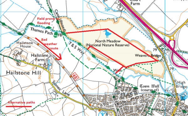 Exploring North Meadow, Cricklade - Walk The Thames